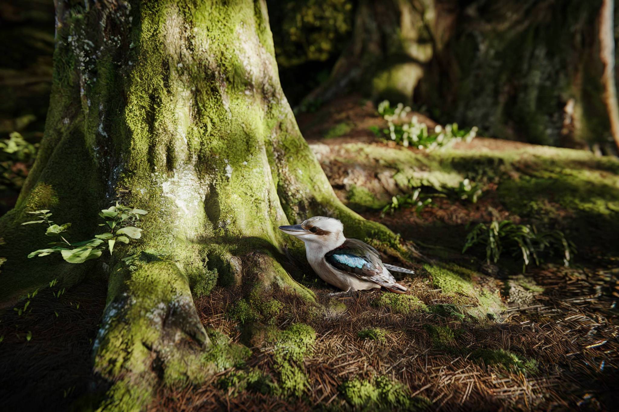 Universal Experience for a CSIRO Organisation by Sheldon Braxton